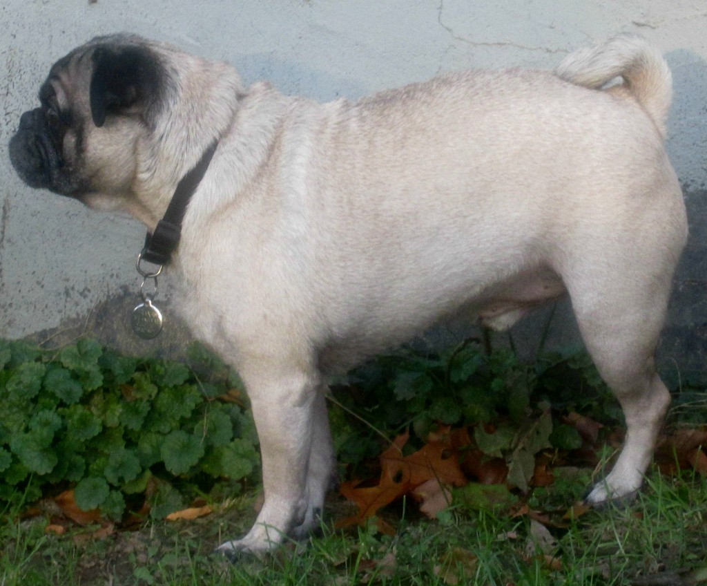 FrankSide - Frank Loves Beans