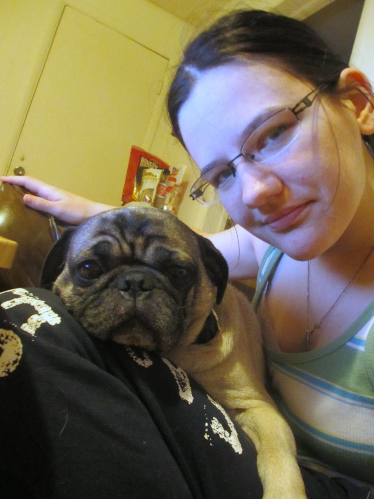 Frank & Beans Pug Adoption Story (part 2)