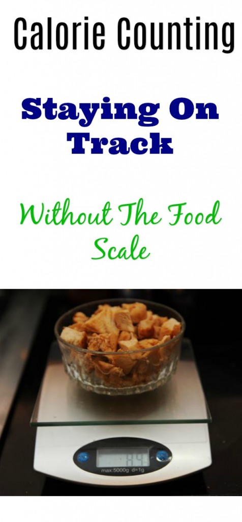 Easy Calorie Counting Long Term