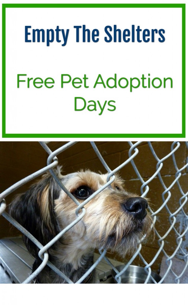 Empty The Shelters Free Pet Adoption